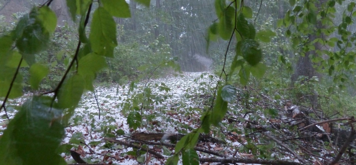 Maltempo, Serri “Stato di calamità per i danni della grandinata” - Pd ...